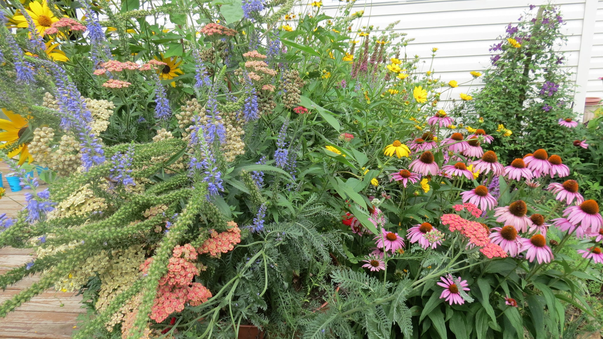 The Rusted Garden Vegetable Seeds & Home Garden Supplies