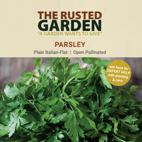 Plain Parsley