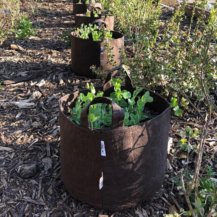 Root Pouch #10 (10.44 G) Single Pouch**Closeout 40% Off** – The Rusted ...