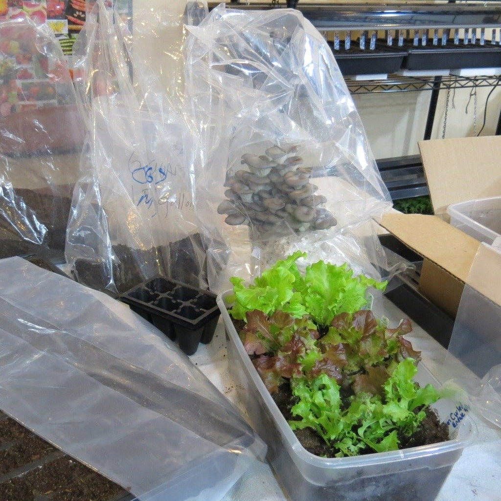 Seed Mix, Sterilizing or Humidity Bags: 10 - 2 mil. 10x8x24 Gusseted P ...