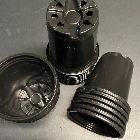 Seed Starting Transplant Containers (3 x 4) - 12 Cups/Containers/Pots ...