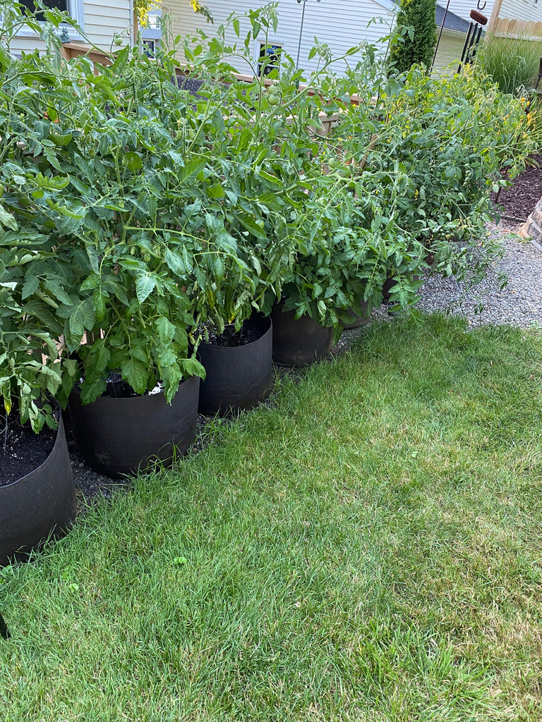 Root Pouch #20 (21.32G) Single Pouch – The Rusted Garden